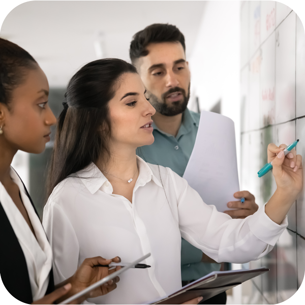 Strategic Professional Connections – Clemaitresse